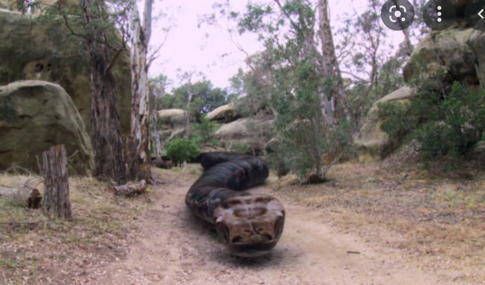 Megaconda (2010) review. Our story begins as all good ones… | by ...
