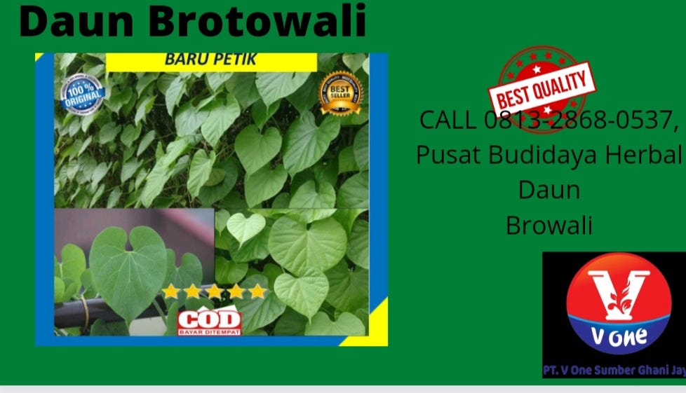 Daun 1 | by Produsen Rak bunga cikarang barat | Medium