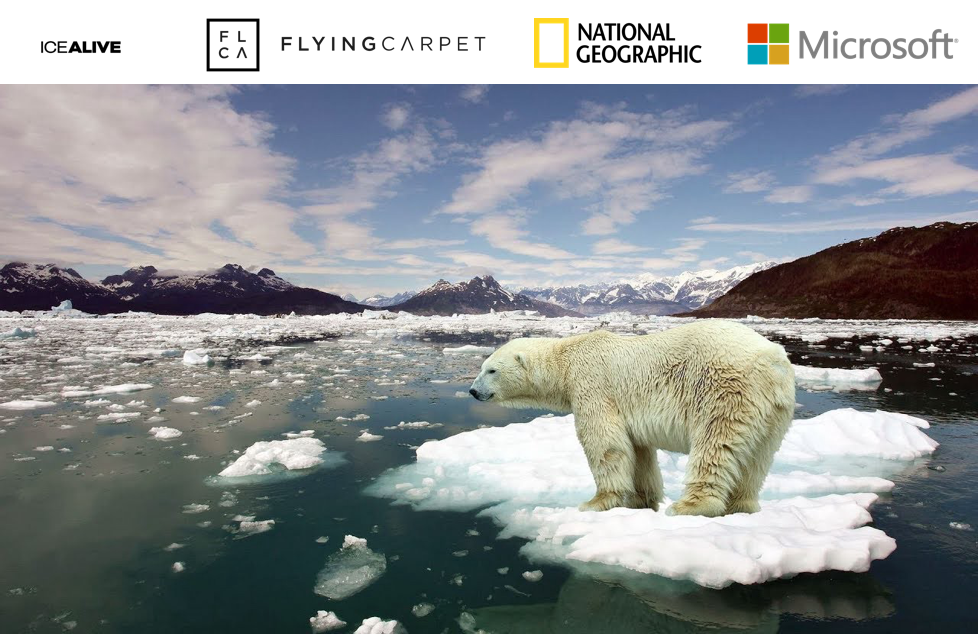 Ice Alive x Flyingcarpet on Earth Observation, backed by Microsoft and ...