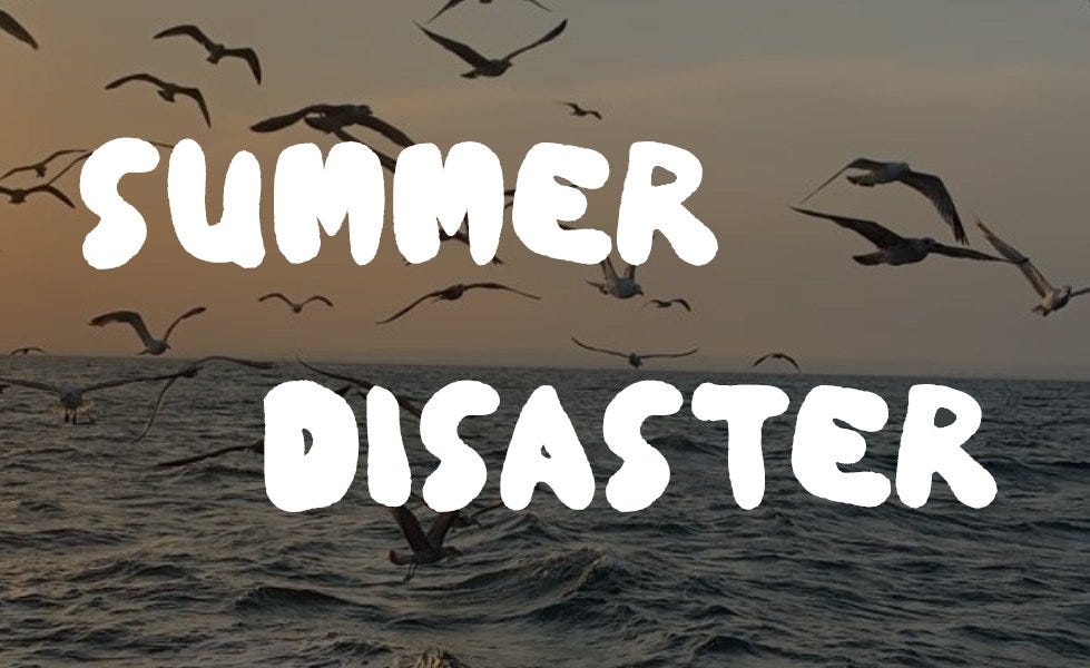 Summer Disaster — Emergency Lookout | by Giabel. | Dec, 2023 | Medium