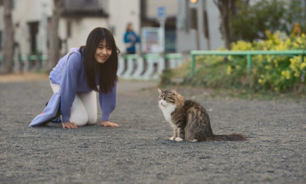 Looking for a Good Comfort Movie? Here Are 3 Reasons to Watch Call Me ...