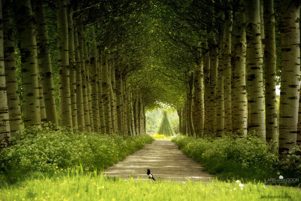 5 Secrets to Capturing Unforgettable Photos 📸 | by Zain Mirza | Jun ...