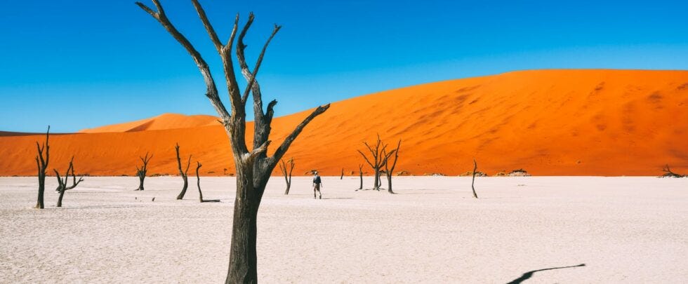 Top 7 Namibia Tourist Attractions That Will Give A Real Trademarks Of ...