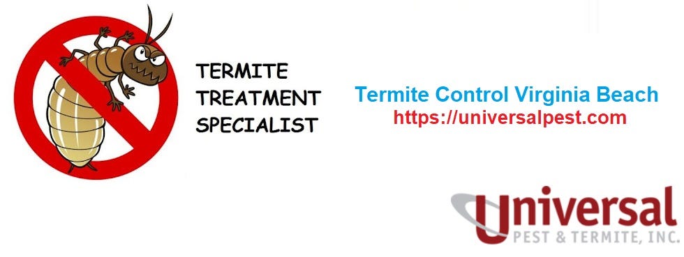 Complete Guide To Termite Extermination By Termite Control Virginia ...