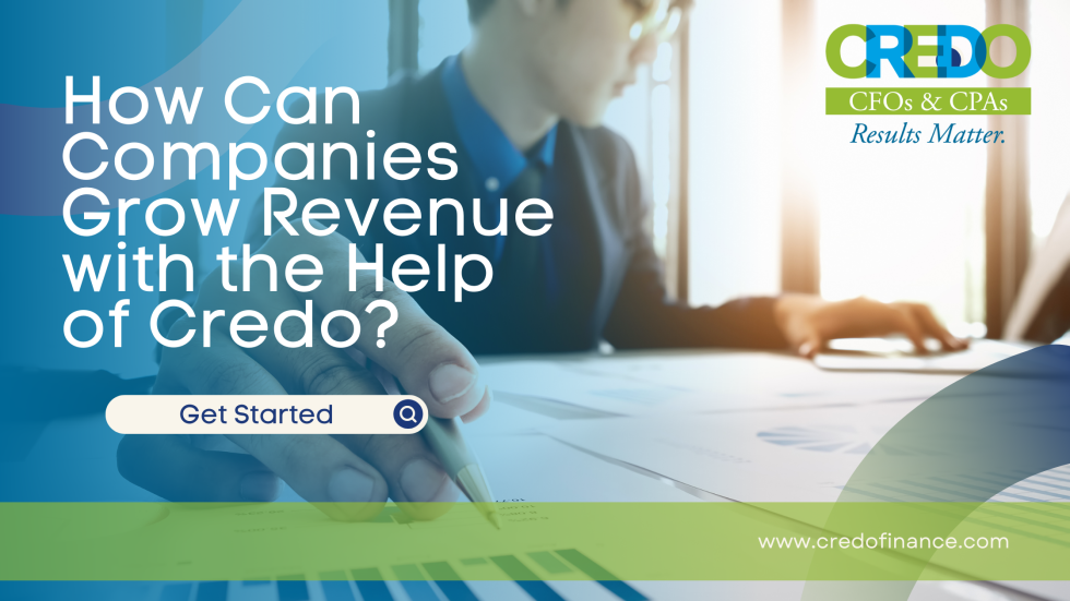 How Can Companies Grow Revenue with Credo? | by Credomarketingsmm | May ...