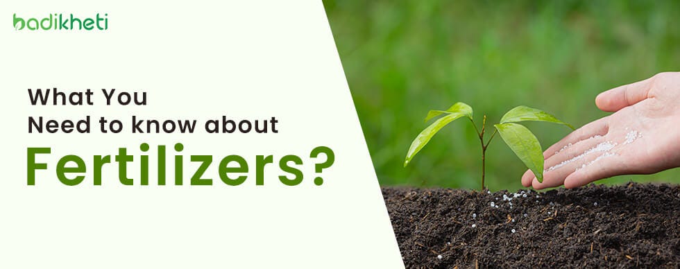 What You Need to know about Fertilizers? | by Badikheti | Medium