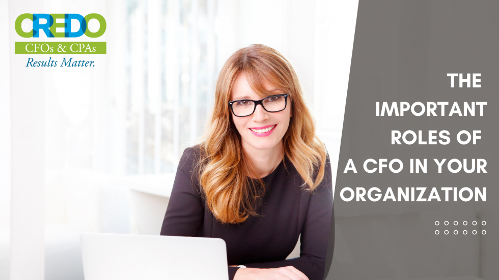 The Important Roles of a CFO in Your Organization | by ...