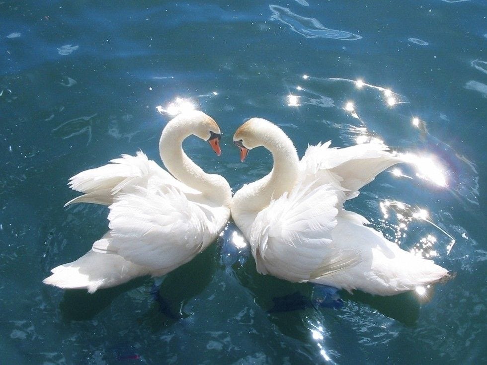 i wish it was me. You know, there are always two sides to… | by vee ...