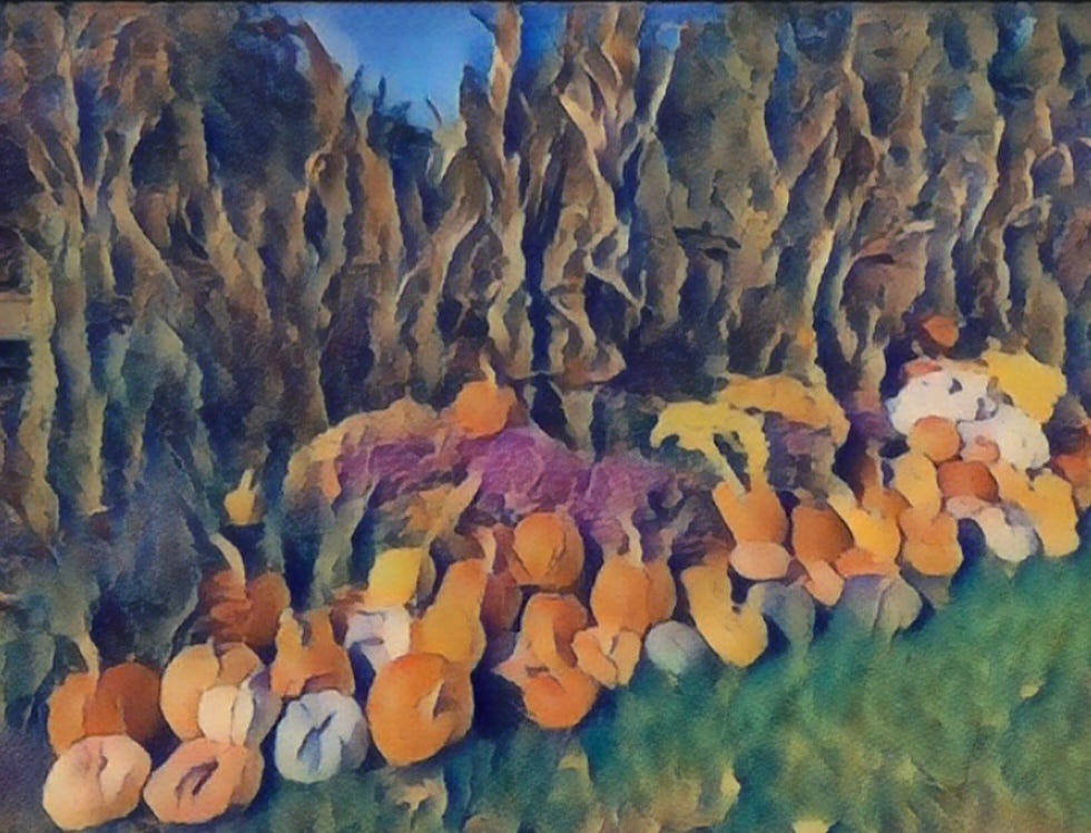 Embracing Imperfection (October 2025 Thoughts) - Rebecca Hosey - Medium