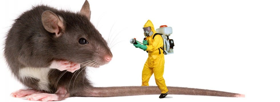 Different Types of Pest Control Methods in East London & West London ...
