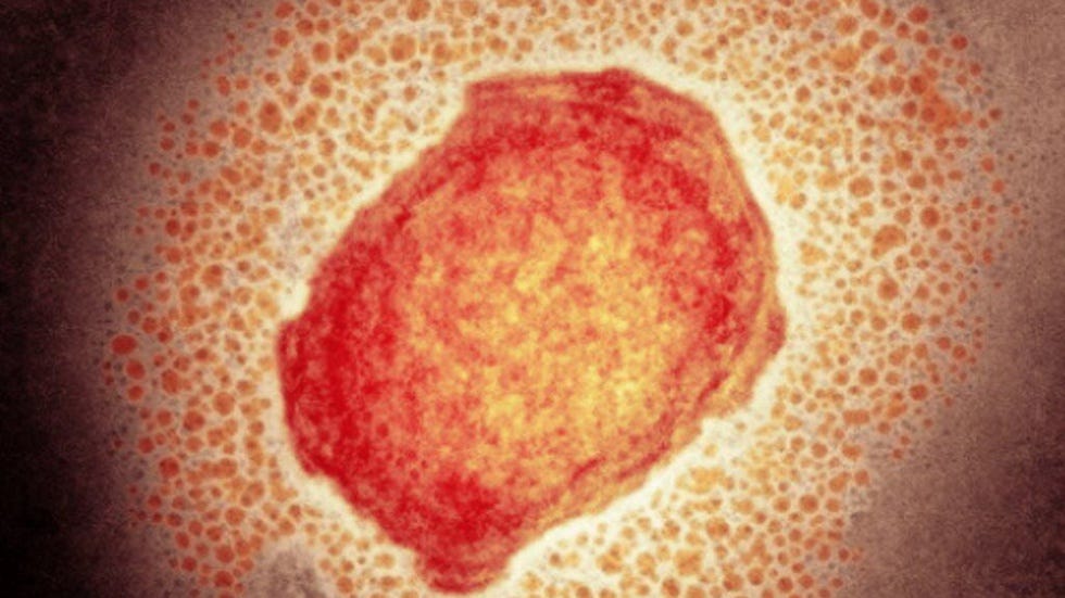 What Is the Monkeypox Virus, How Does It Spread, and What Are the ...
