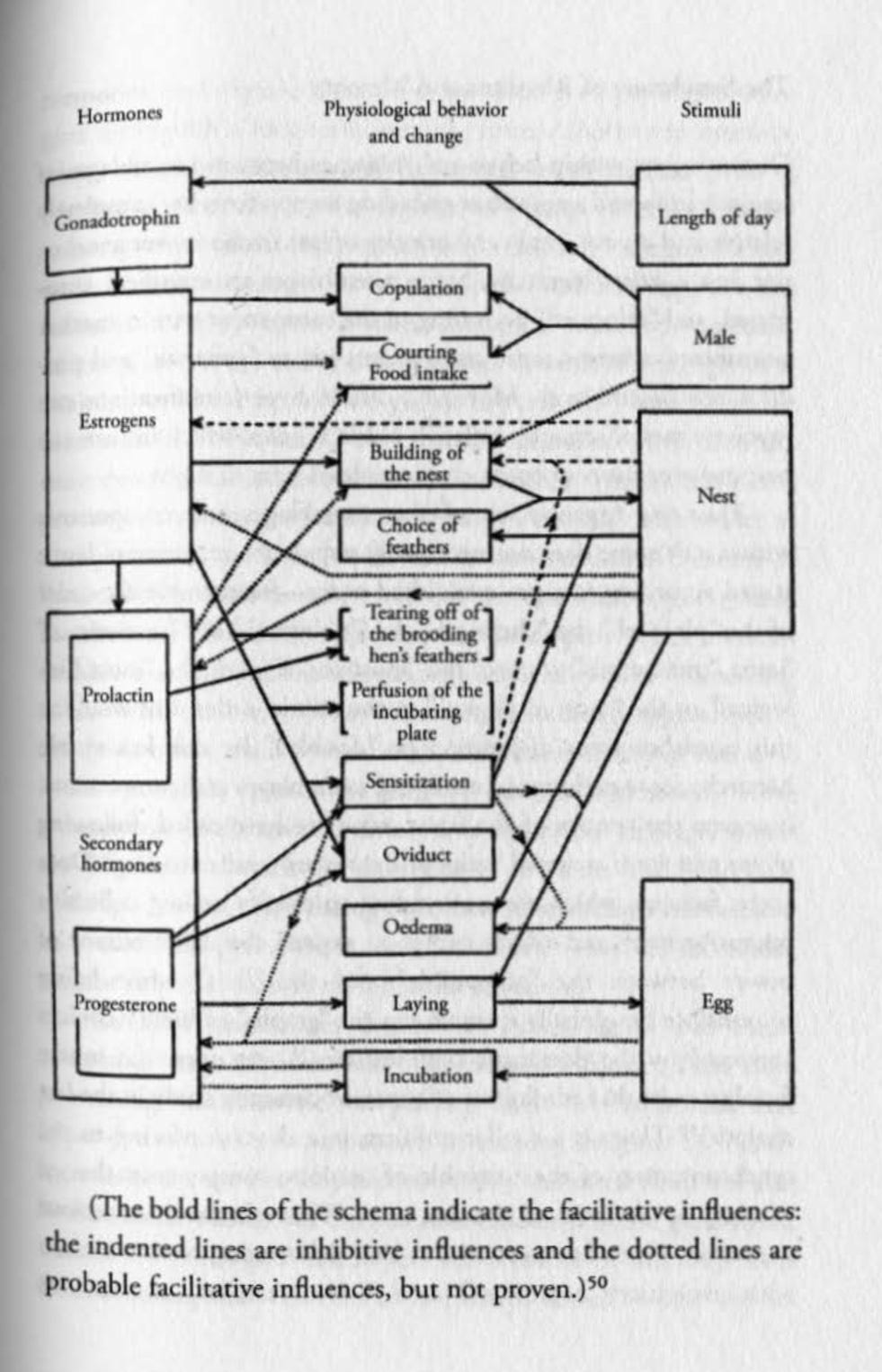 The god spark which is deep | by Ahnnee-ha | Medium