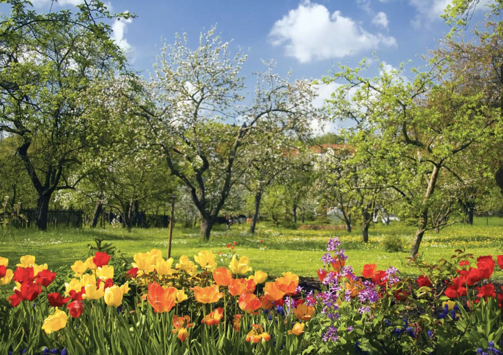 Spring’s Quiet Reckoning. It is one of the first unequivocal… | by ...