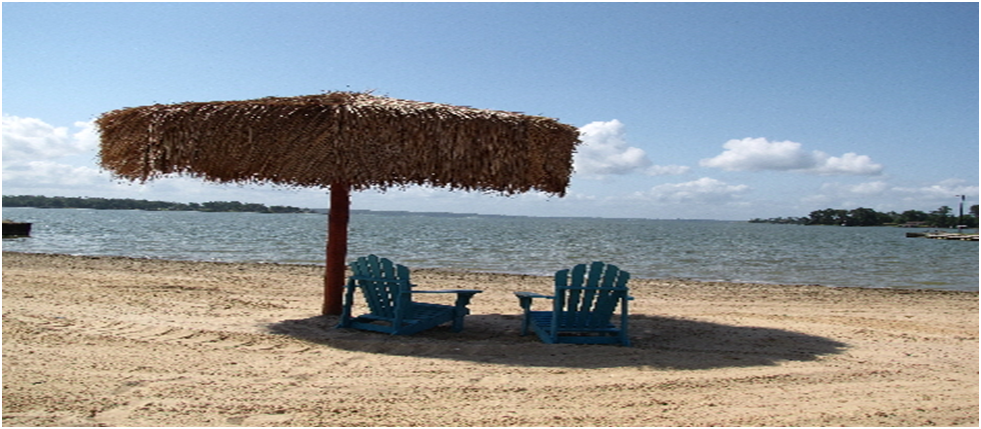 Why booking a cabin rental is quintessential for your upcoming vacation ...