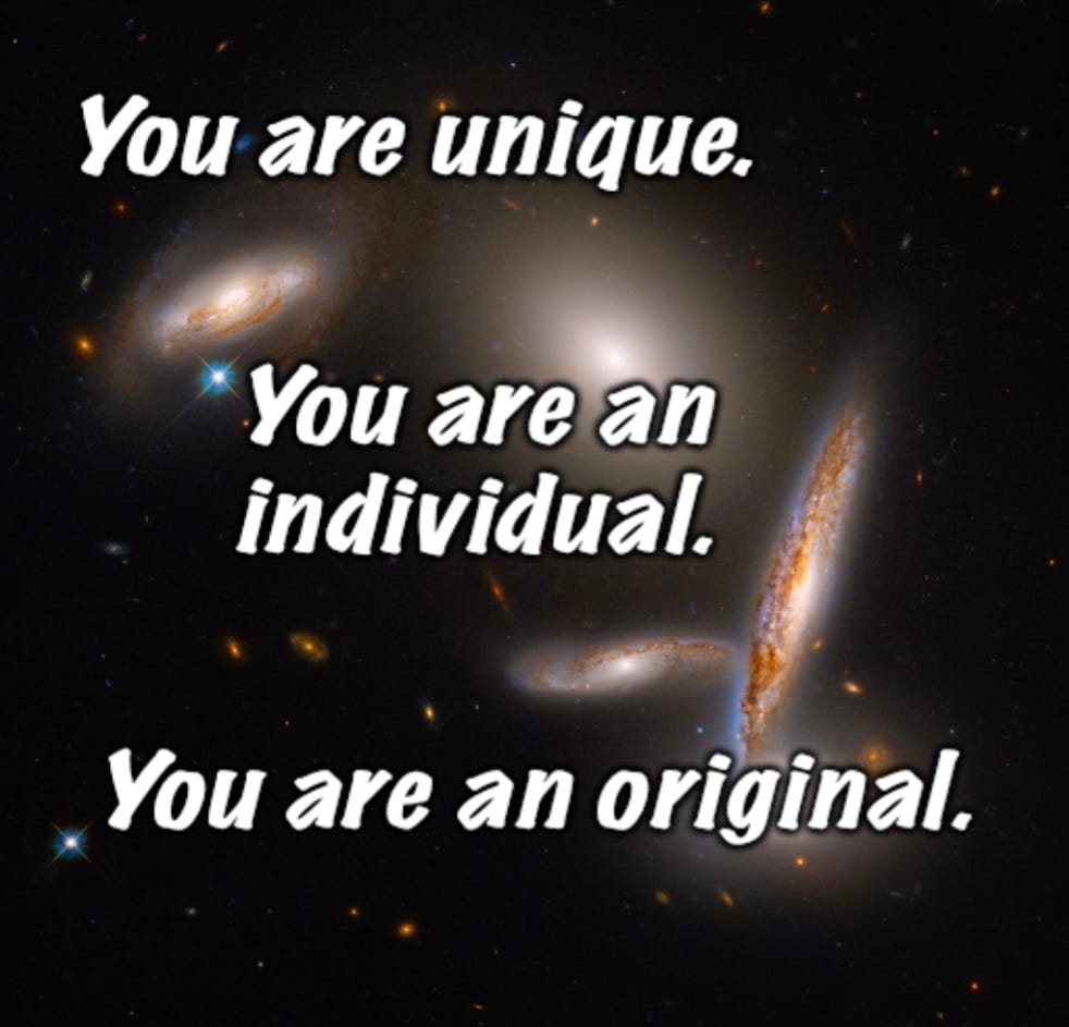 You are unique. You are an individual. You are an original. Nobody else ...