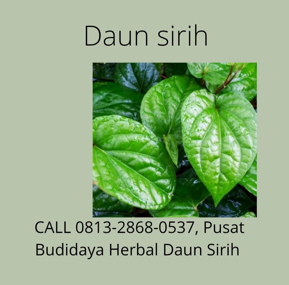 Daun 2 | by Produsen Rak bunga cikarang barat | Medium