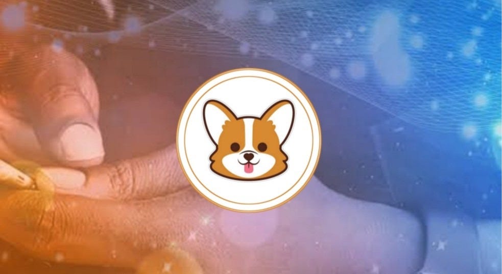 HORGI TOKEN. HORGI TOKEN | by Osric Caesar Nohan | Medium