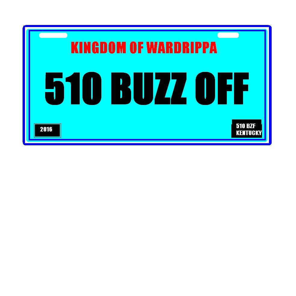 510 BUZZ OFF. BY M.S.WARDRIP | by steve wardrip | Medium