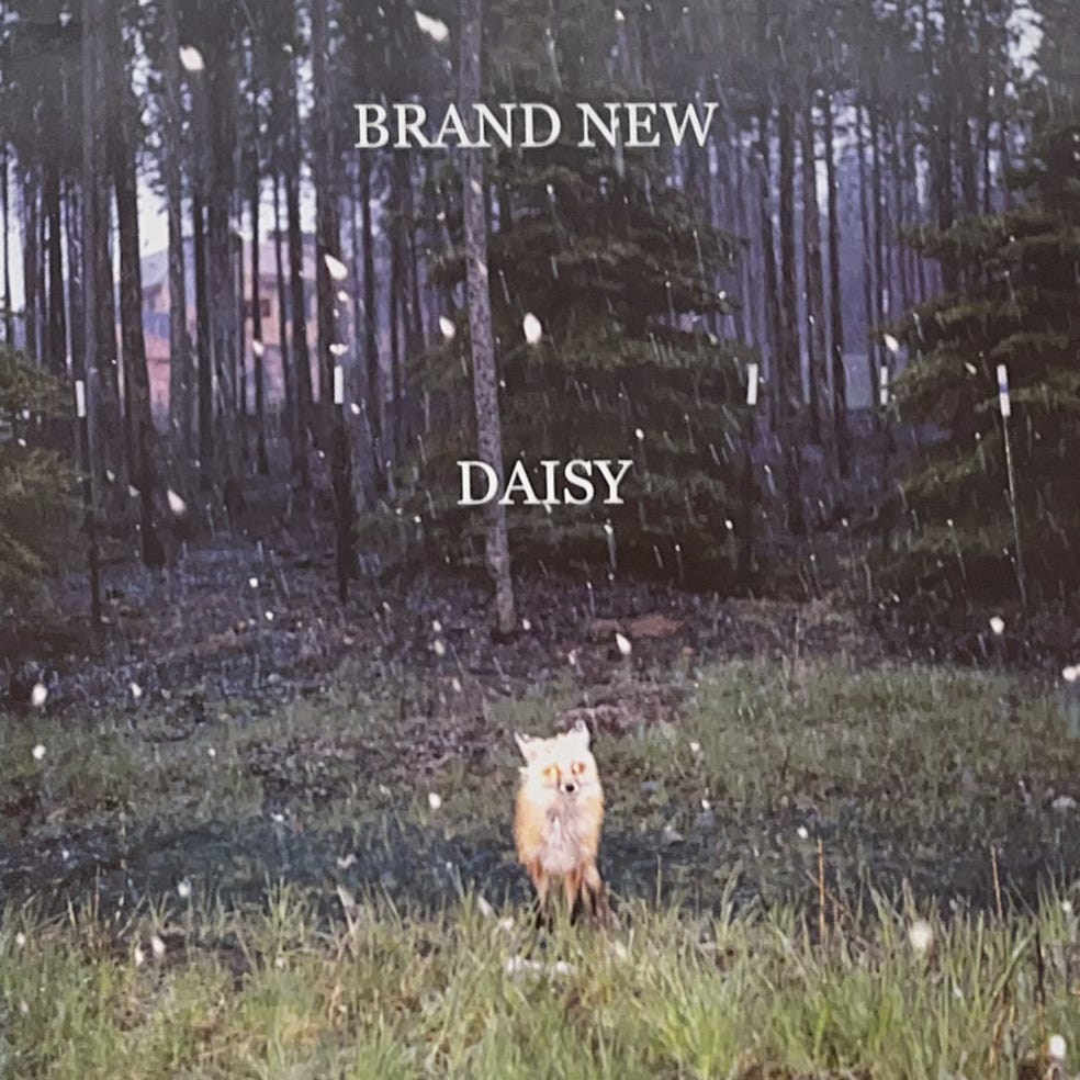 Brand New—Daisy. The black sheep of Brand New albums… | by A Record ...