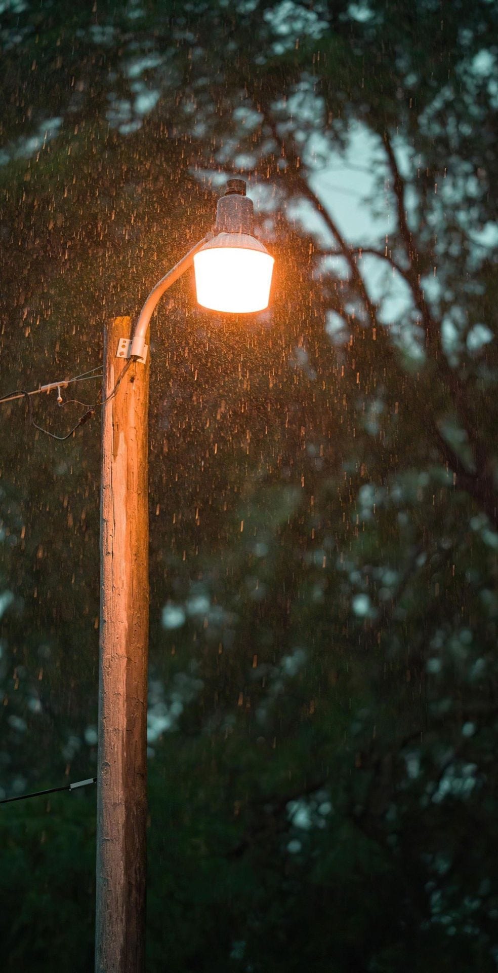 4 Best Pandas GitHub repos. Exercises and Projects | by Doaa Ahmed ...