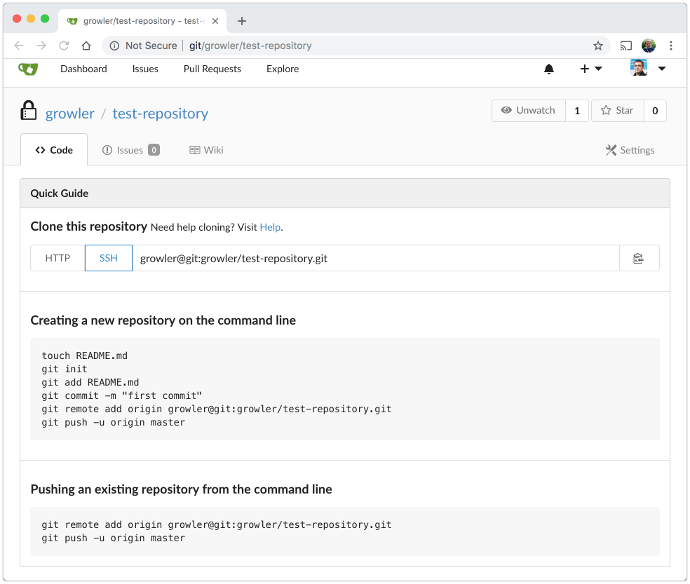 How to run Gitea on OS X. (the right way) | by Alexey Naidyonov | Medium