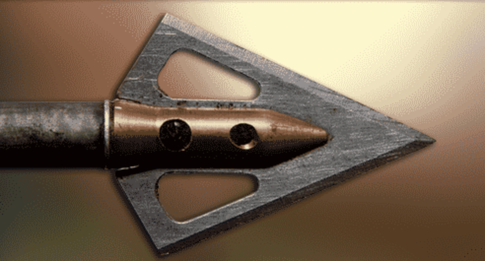 Pointing Your Arrow. Finding Your Target In This Creative… | by John ...