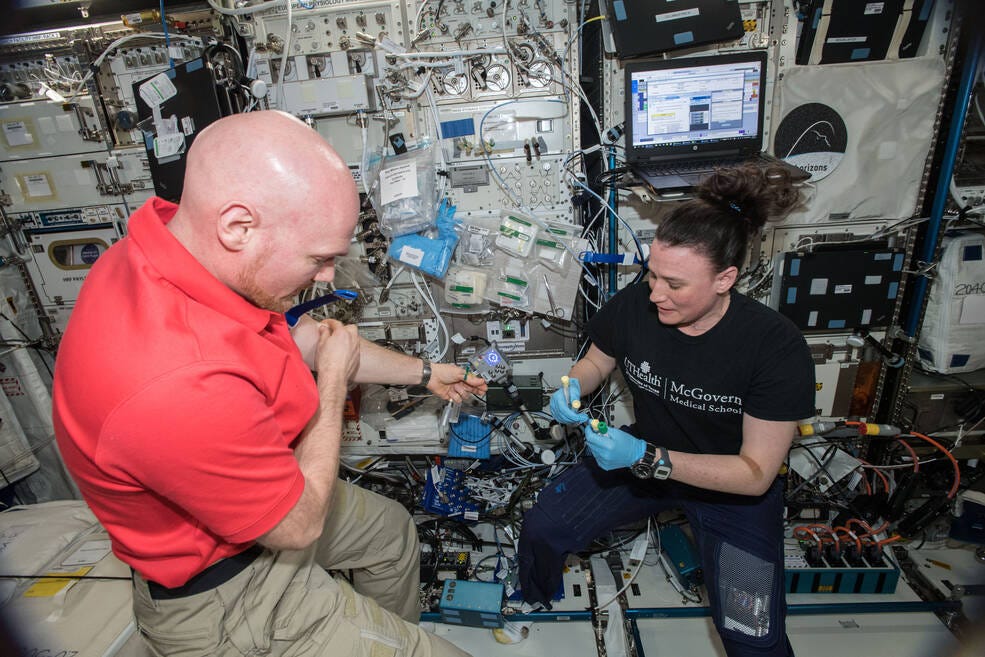 Immune System and Space Travel: The Cosmic Battle Against Germs | by ...