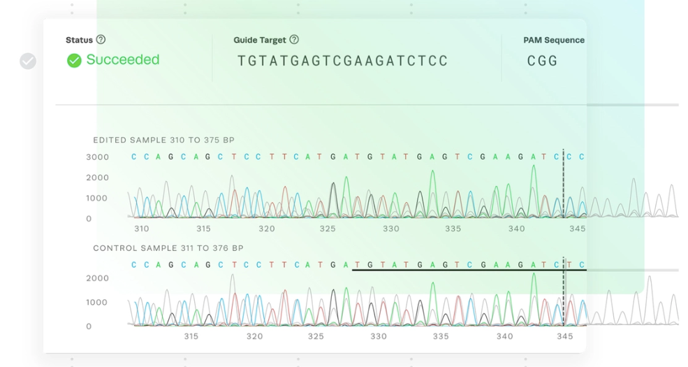 Synthego: The One Stop Shop for Revolutionary Genetic Research | by ...