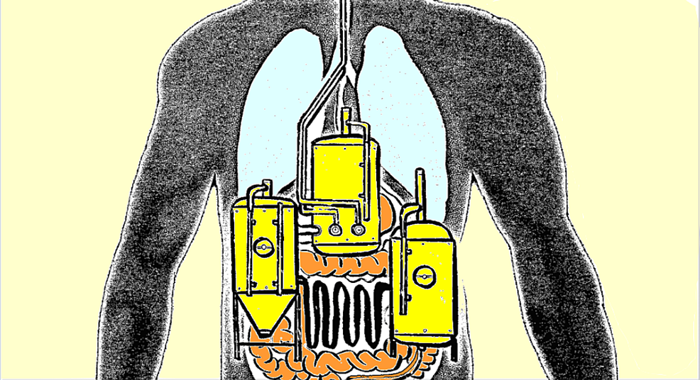 Auto-brewery Syndrome (ABS): A Sobering Look at a Rare Condition | by ...