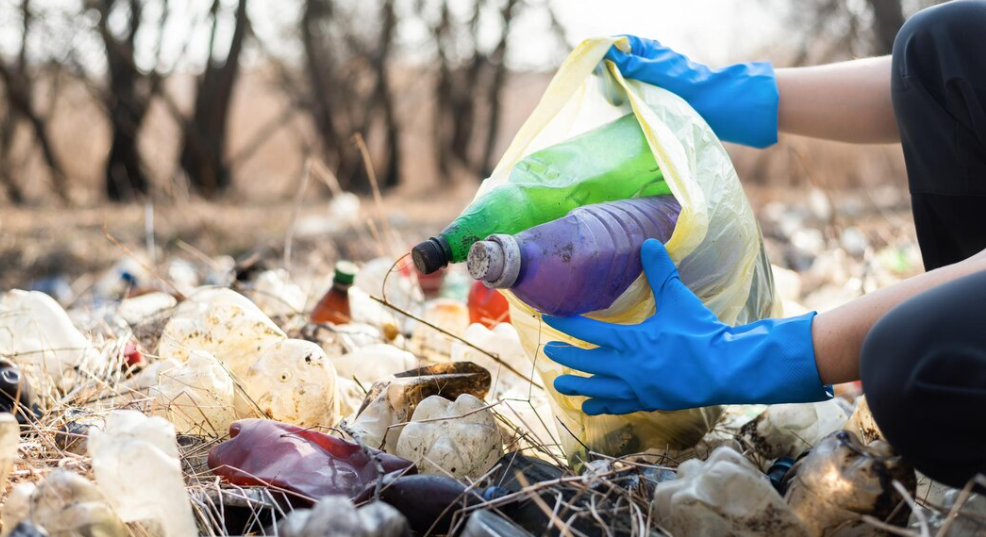 The Bad Impact of Plastic Bags. Introduction | by Ecofriendlie | Feb ...