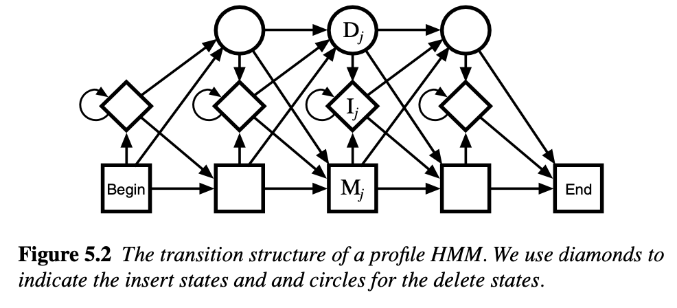 HMM for bioinformatics — History and Understanding Pt. 1 | by Gabriel Husain | Medium