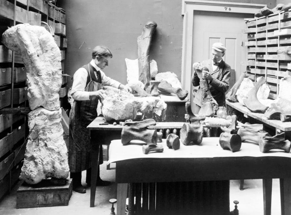 The Dinosaur in the Warehouse. A fossil discovered in 1932 was ignored ...