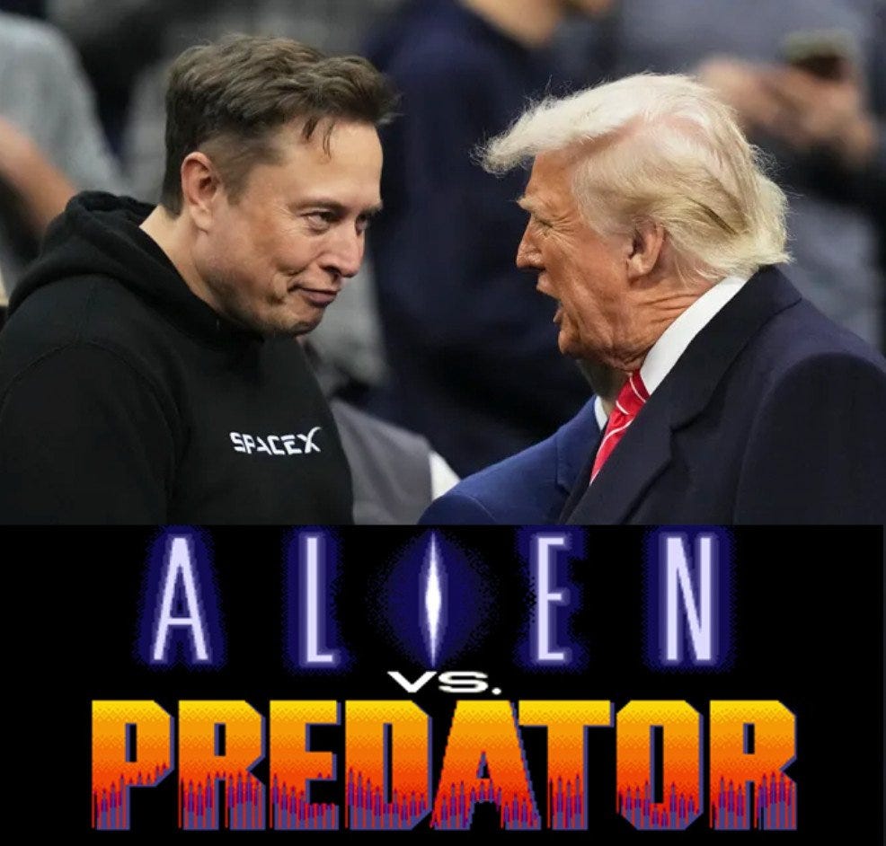 Elon and Trump Fighting Is Like Alien vs. Predator: It Makes Great ...