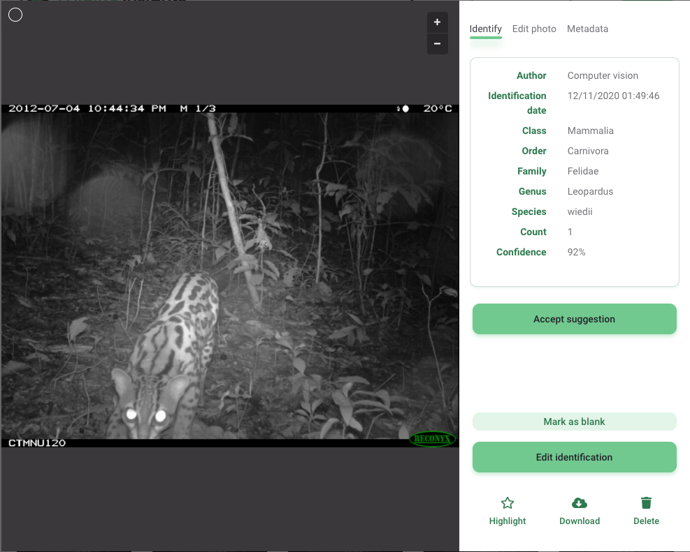 Wildlife Insights sharpens its vision with updated AI model and helps ...
