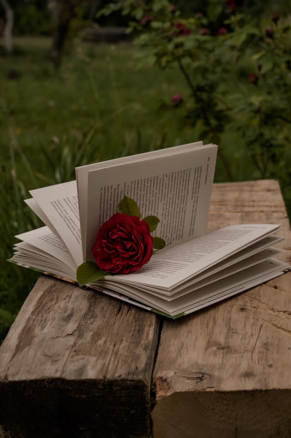 This Love: When Parallel Lines Never Meet — An Honest Look at Affection ...
