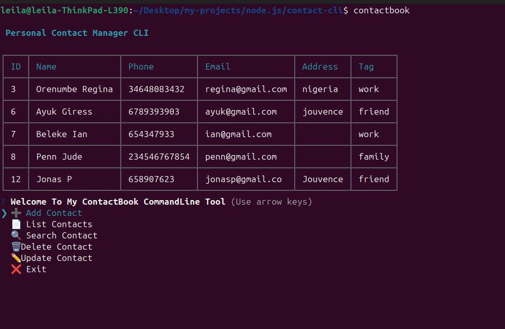 My Experience Building A CLI Tool: Contact-book | by Eileen Leila | Medium