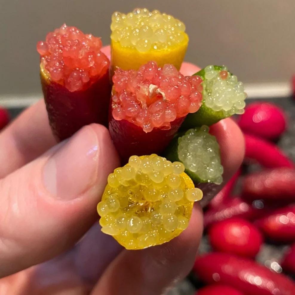 Mouthwatering Recipes Incorporating Native Australian Fruits into ...