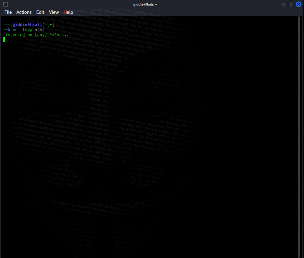 Reverse Shells 101: Gaining Shell Access with Python and Bash | by ...