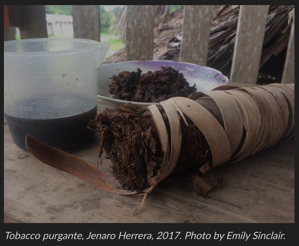 Light & Shadow. Ayahuasca Murder, Plastic Shaman and… | by True Crime ...
