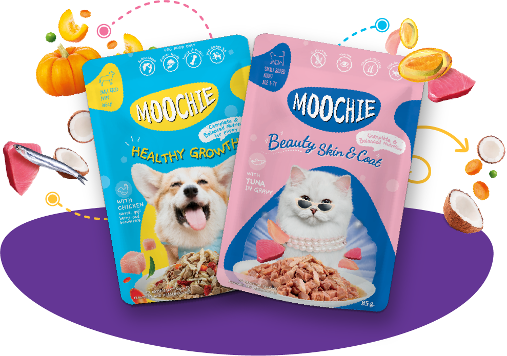 Moochie Dog Food Casserole with Chicken Liver — Digestive Care Pouch ...