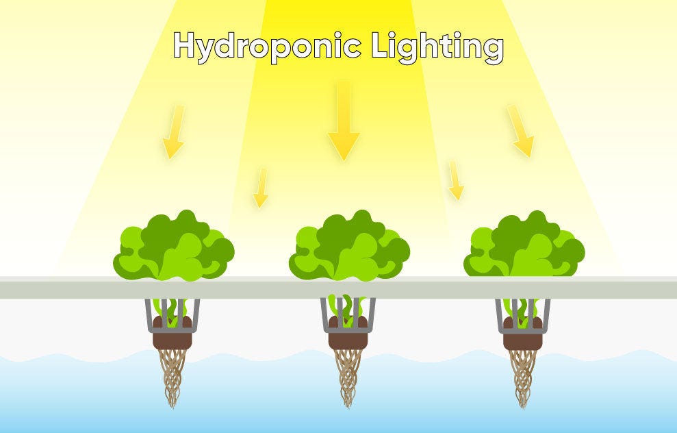 Beginners Guide to Hydroponic Lighting | by Abby | Medium