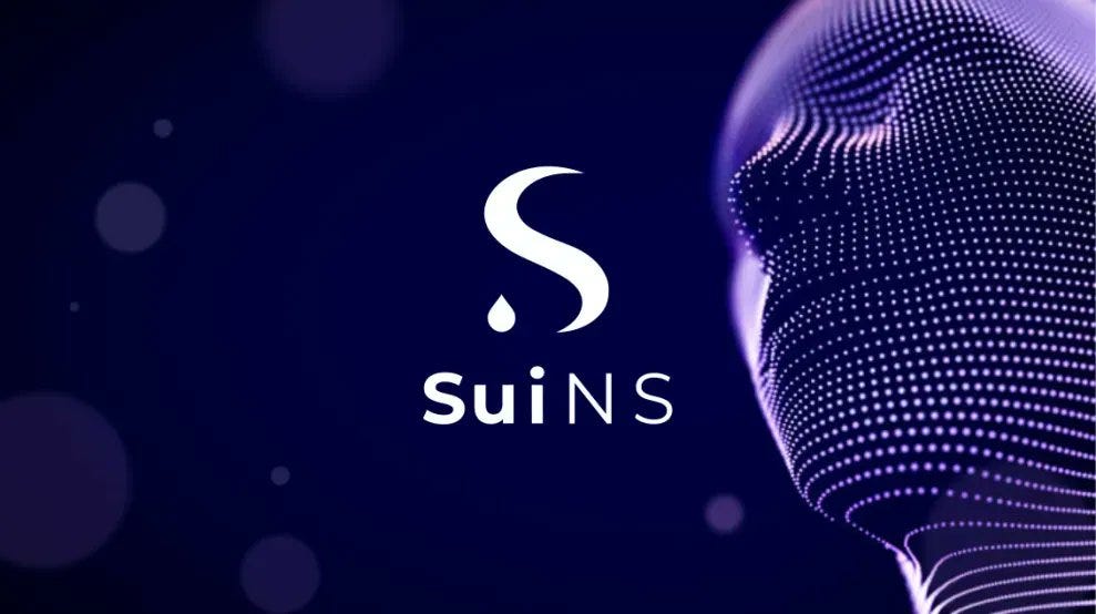 Sui Name Service (SuiNS) — Sculpt your Identity | by Sui Detective | Medium