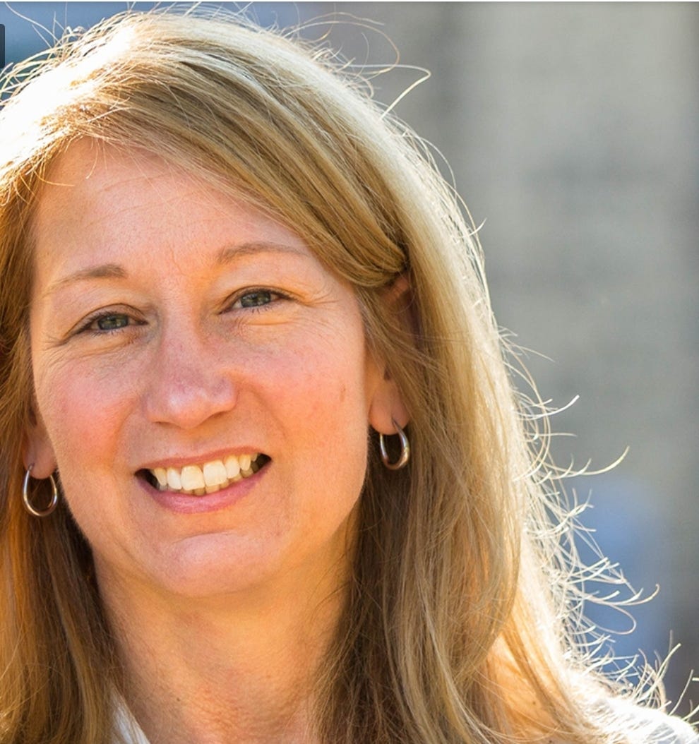 Diane Ragsdale, Director of Masters of Creative Leadership at MCAD ...