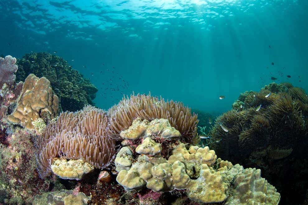 State of the Ocean Report 2024 — Current Affairs 2024 | by KGS IAS ...
