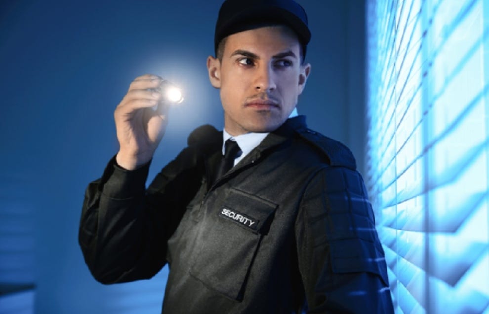 The Paramount Importance of Event Security Services for Private Guests ...