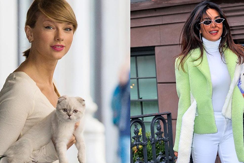 Taylor SwiftNational Pet Day: #TaylorSwift, #KylieJenner & More Show ...