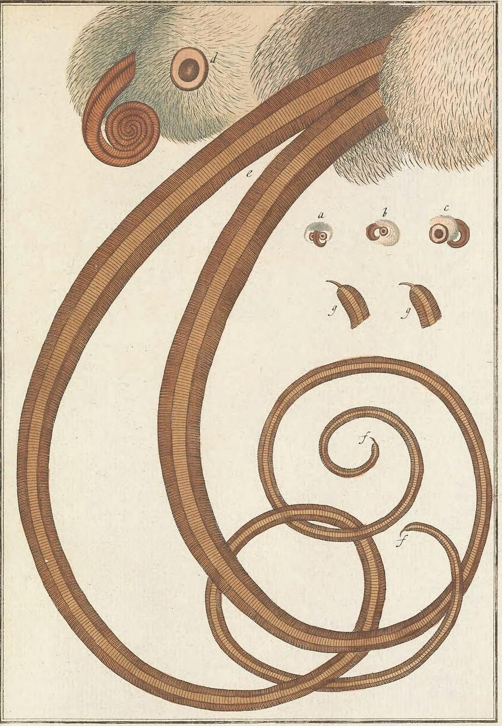 Beautiful Torpedoes. Flash story | by Symon Storozhenko | Damn Borscht ...