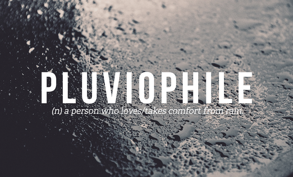 Pluviophiles: The Rain Lovers Who Find Solace in Downpours | by ...