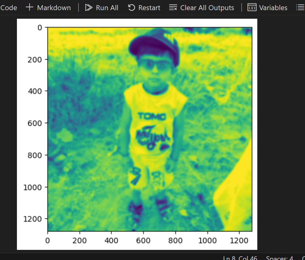 Unveiling the Power of OpenCV: Exploring Essential Concepts like Mahotas and Mastering Image ...