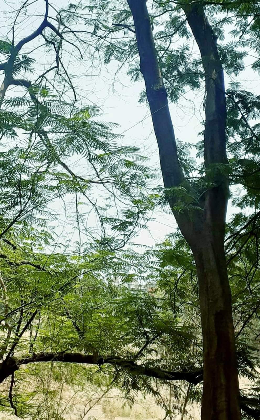 Patience - Bouncin’ and Behavin’ Poems - Medium